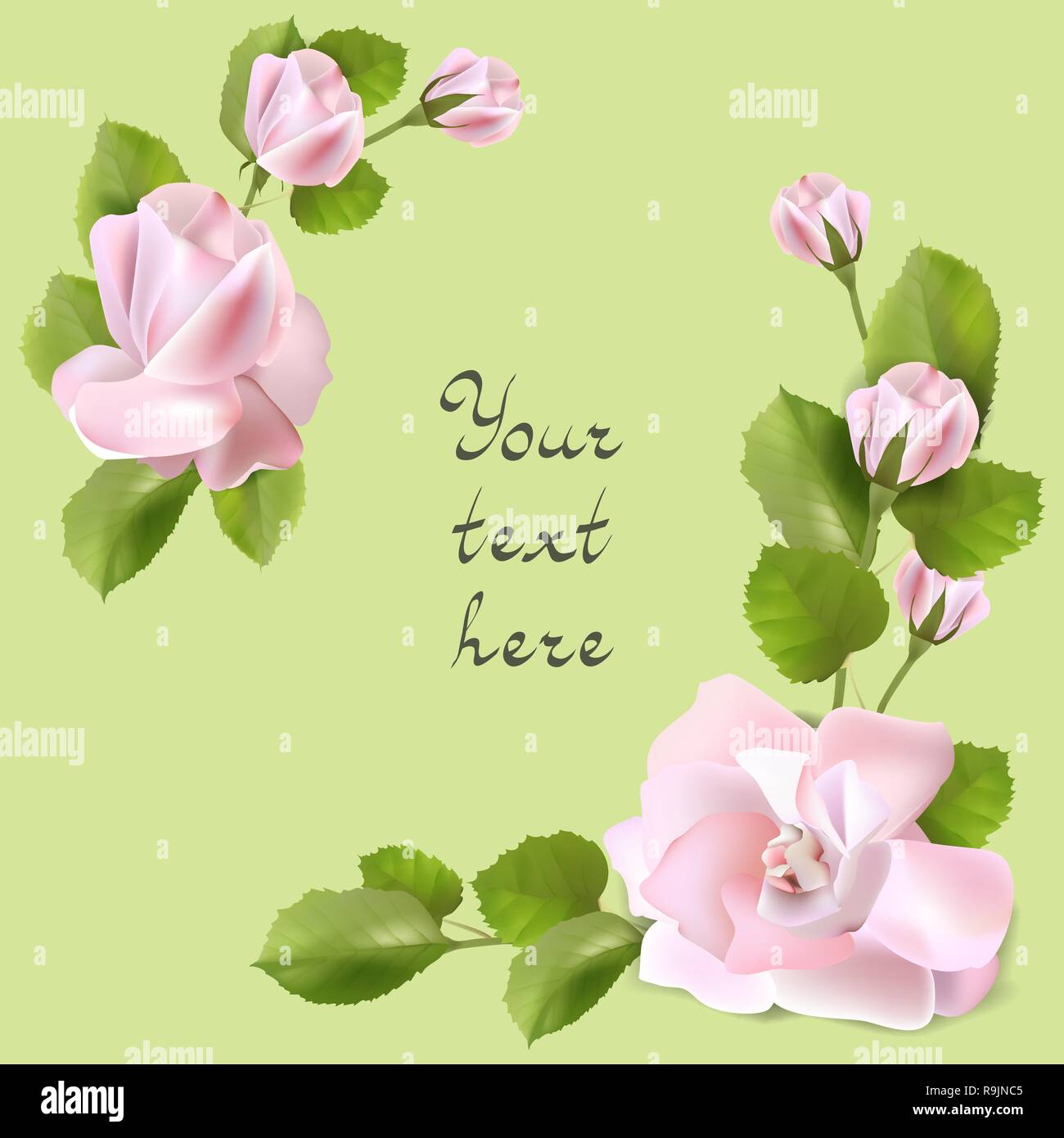 Beautiful pink peony background wedding Stock Vector Images - Alamy