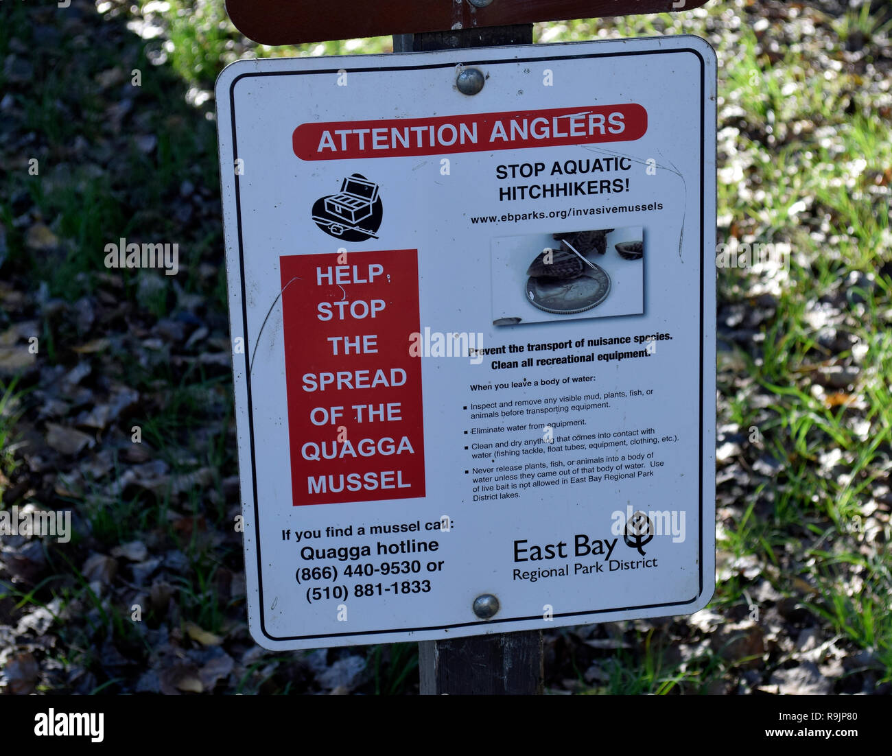 Invasive aquatic species warning sign hi-res stock photography and ...