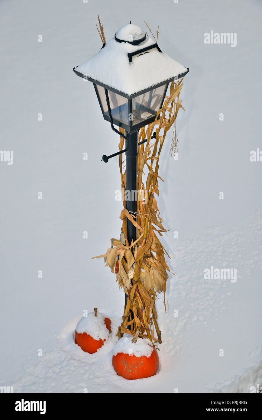 Light pole in snow hi-res stock photography and images - Alamy