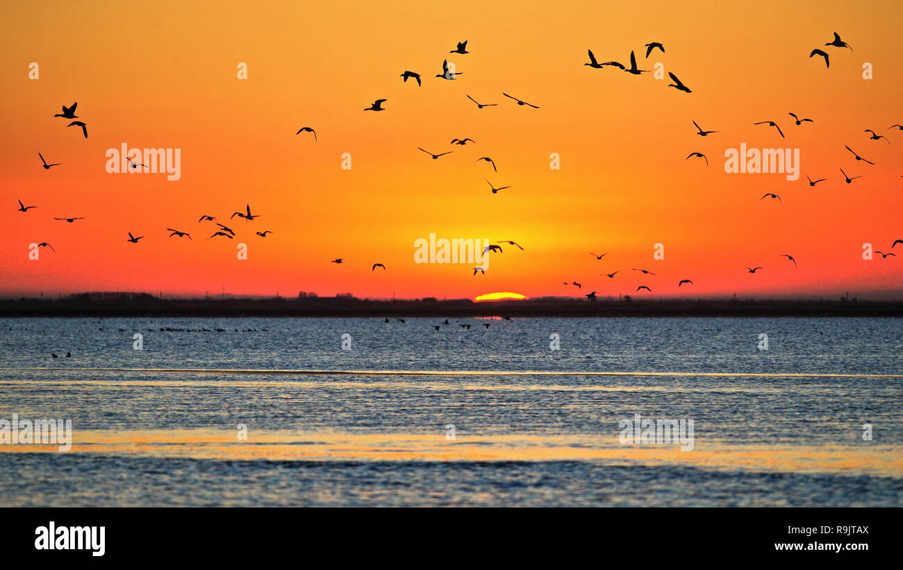 The red sun rises in sky Stock Photo - Alamy