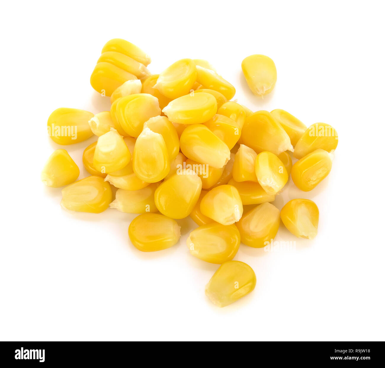 Maize isolated on white background Stock Photo - Alamy