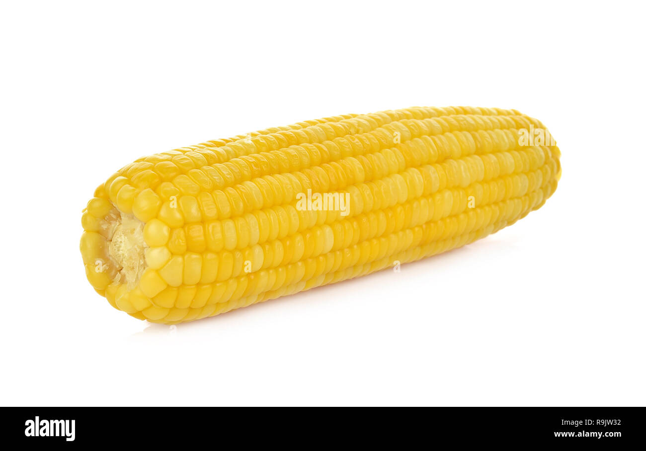 corn isolated on white background Stock Photo - Alamy