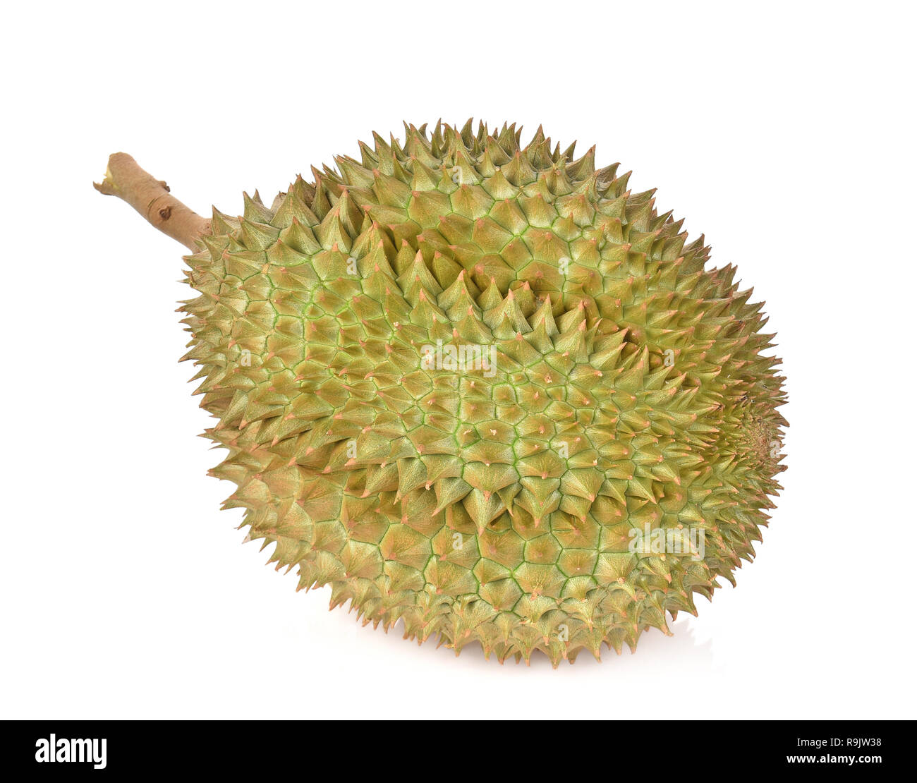 Durian isolated on white background Stock Photo - Alamy