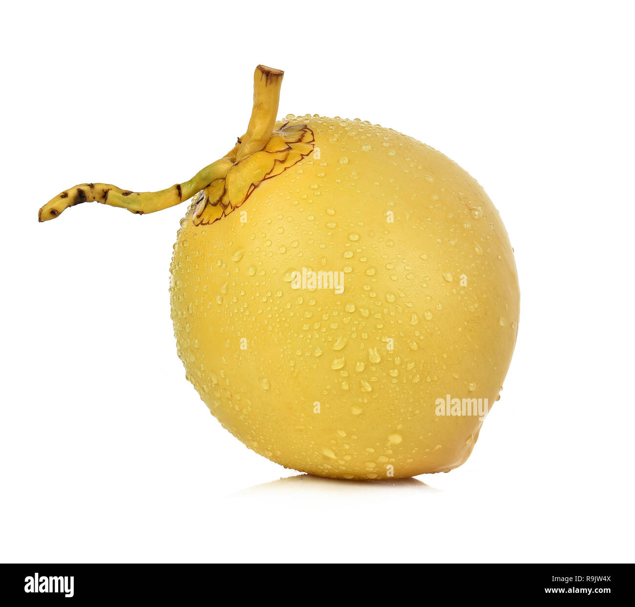 water drop Coconut(Coconuts fire.) isolated on white background Stock ...