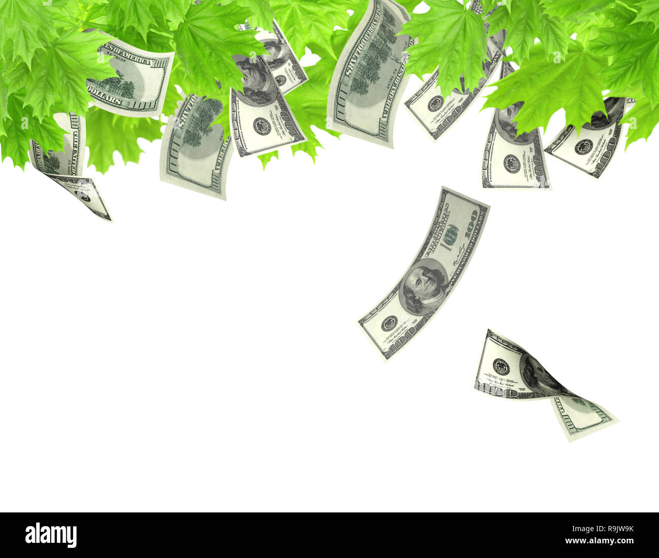 Money tree. Isolated over white Stock Photo - Alamy