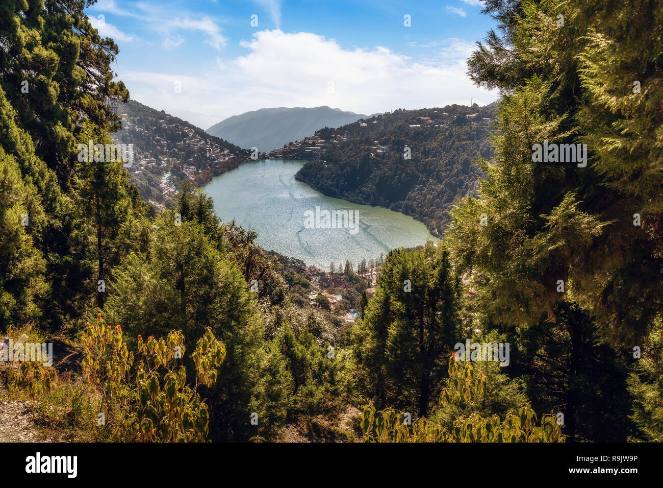 Aerial view of Nainital lake also known as the mango lake with Nainital ...