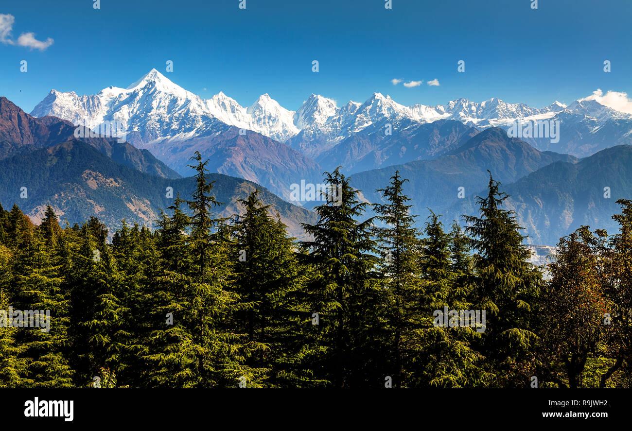 Himalaya peaks of Panchchuli with pine trees and scenic landscape view ...