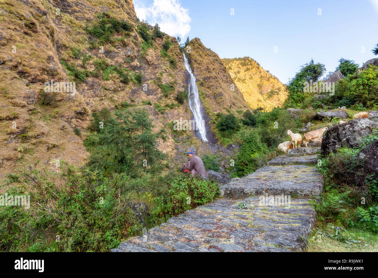 Birthi waterfall at Munsiyari Uttarakhand with view of rural shepherd ...