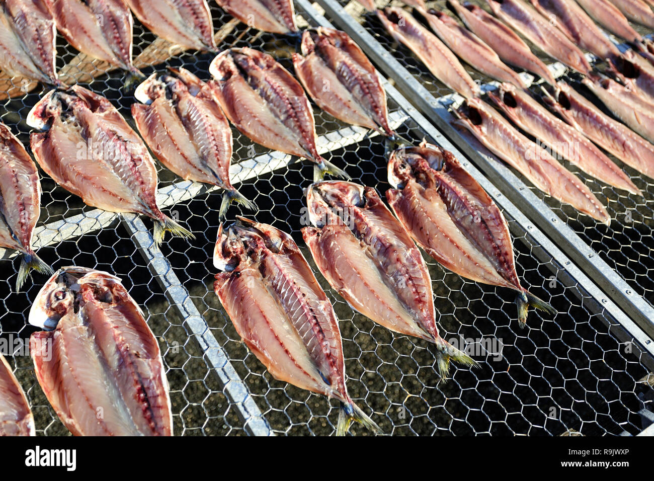 Fish drying on a stand, Izu peninsula, Japan Stock Photo - Alamy