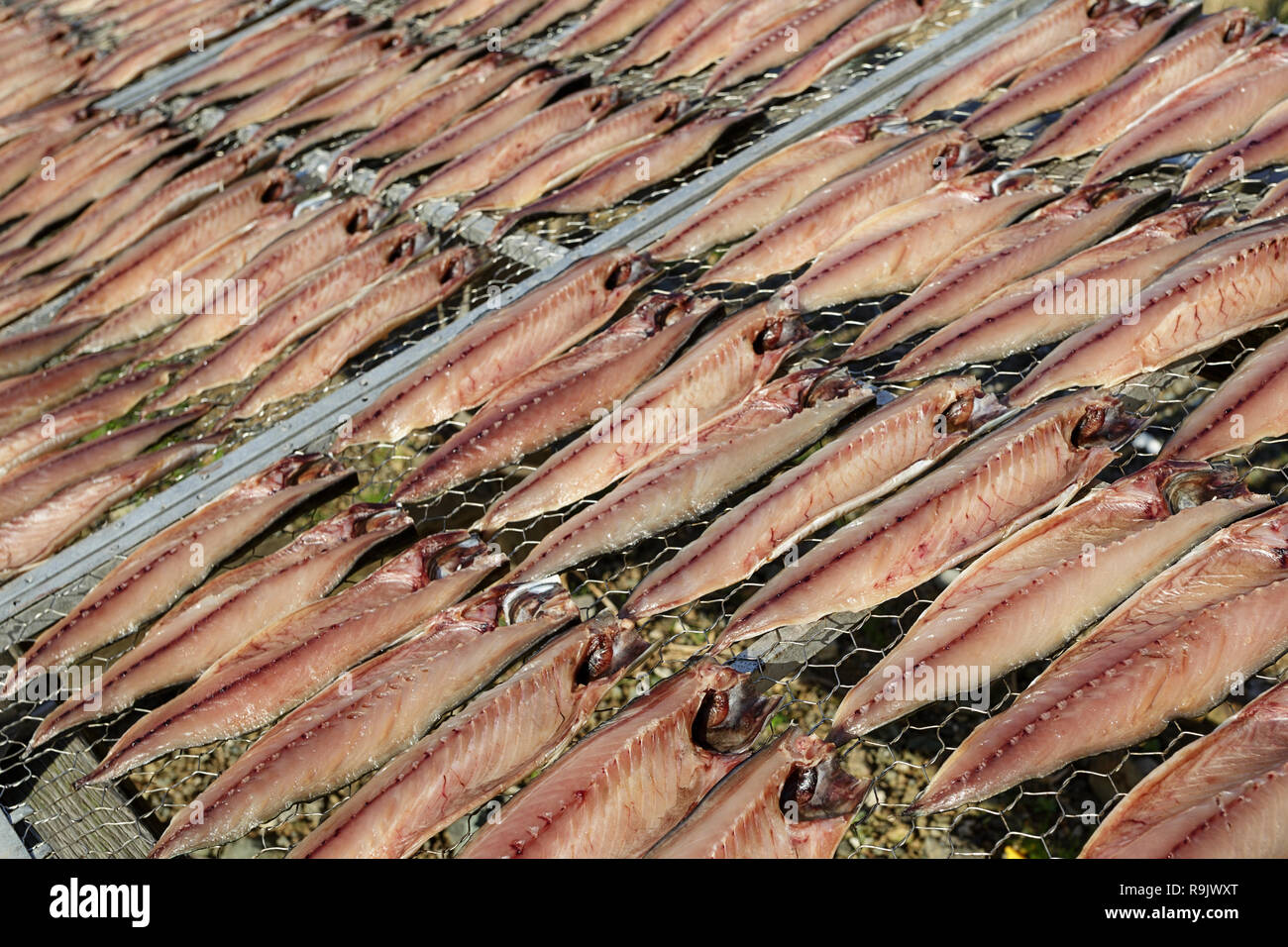 Fish drying stand hi-res stock photography and images - Alamy