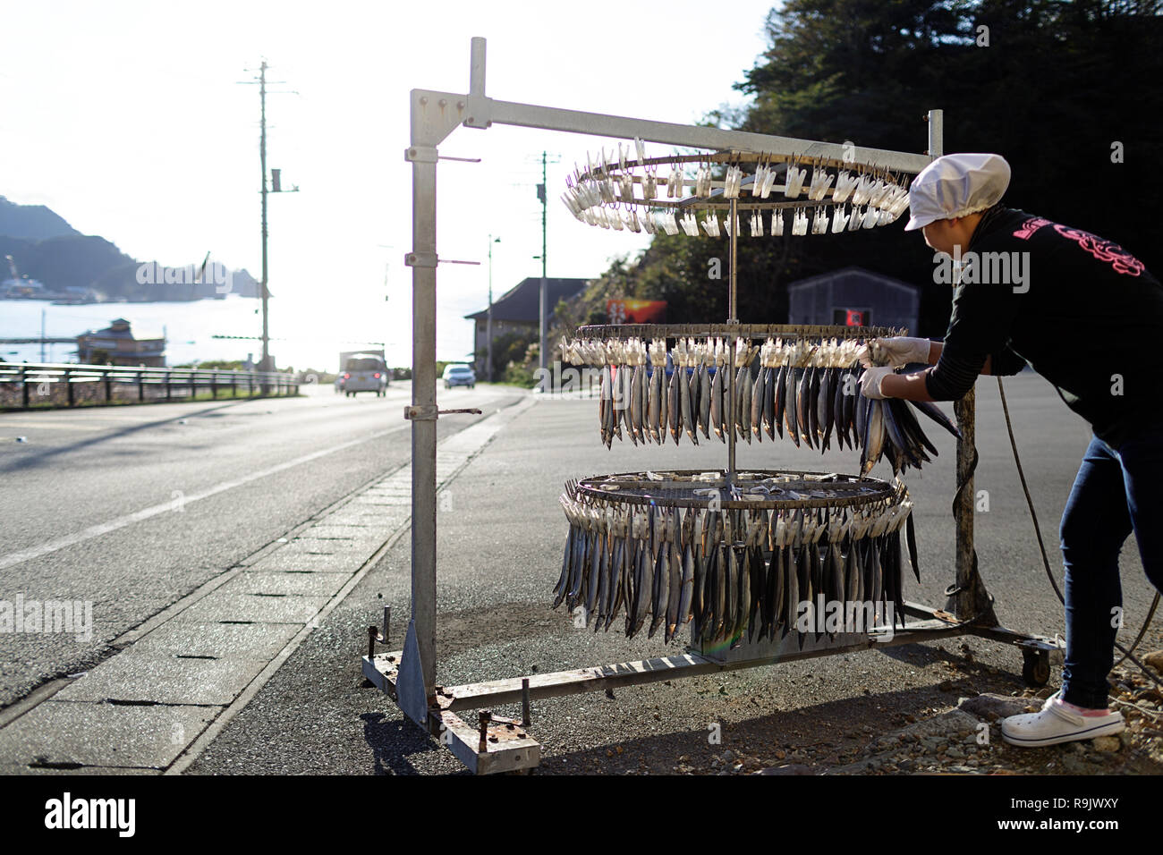 Fish drying on a stand, Izu peninsula, Japan Stock Photo - Alamy