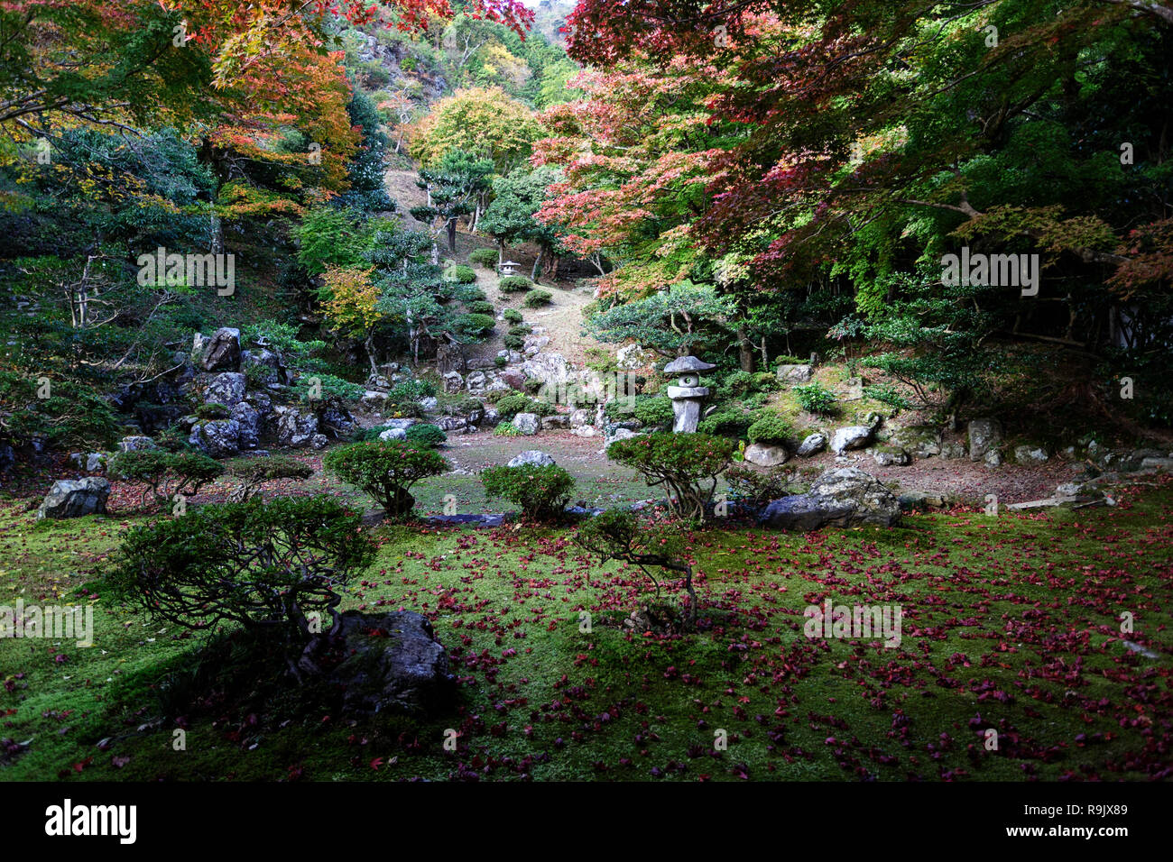 Seiryu ji temple hi-res stock photography and images - Alamy
