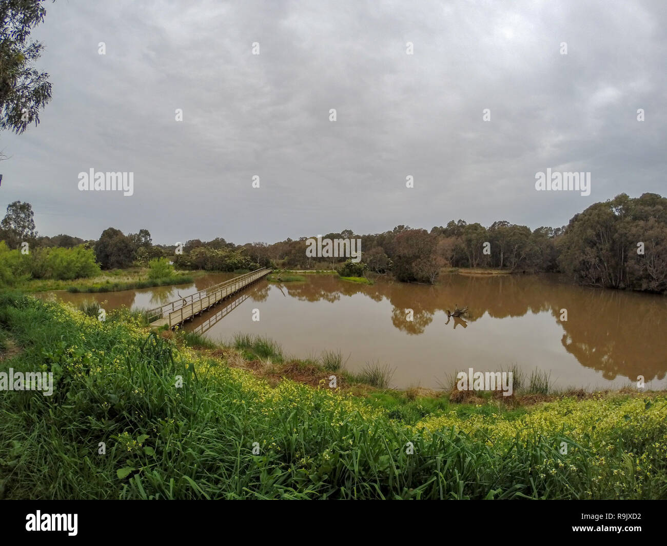 Wetland bridge scene and swamps, australia Stock Photo - Alamy