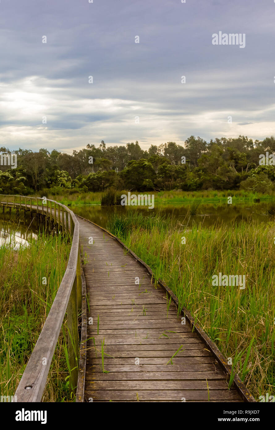 Marshlands australia hi-res stock photography and images - Alamy