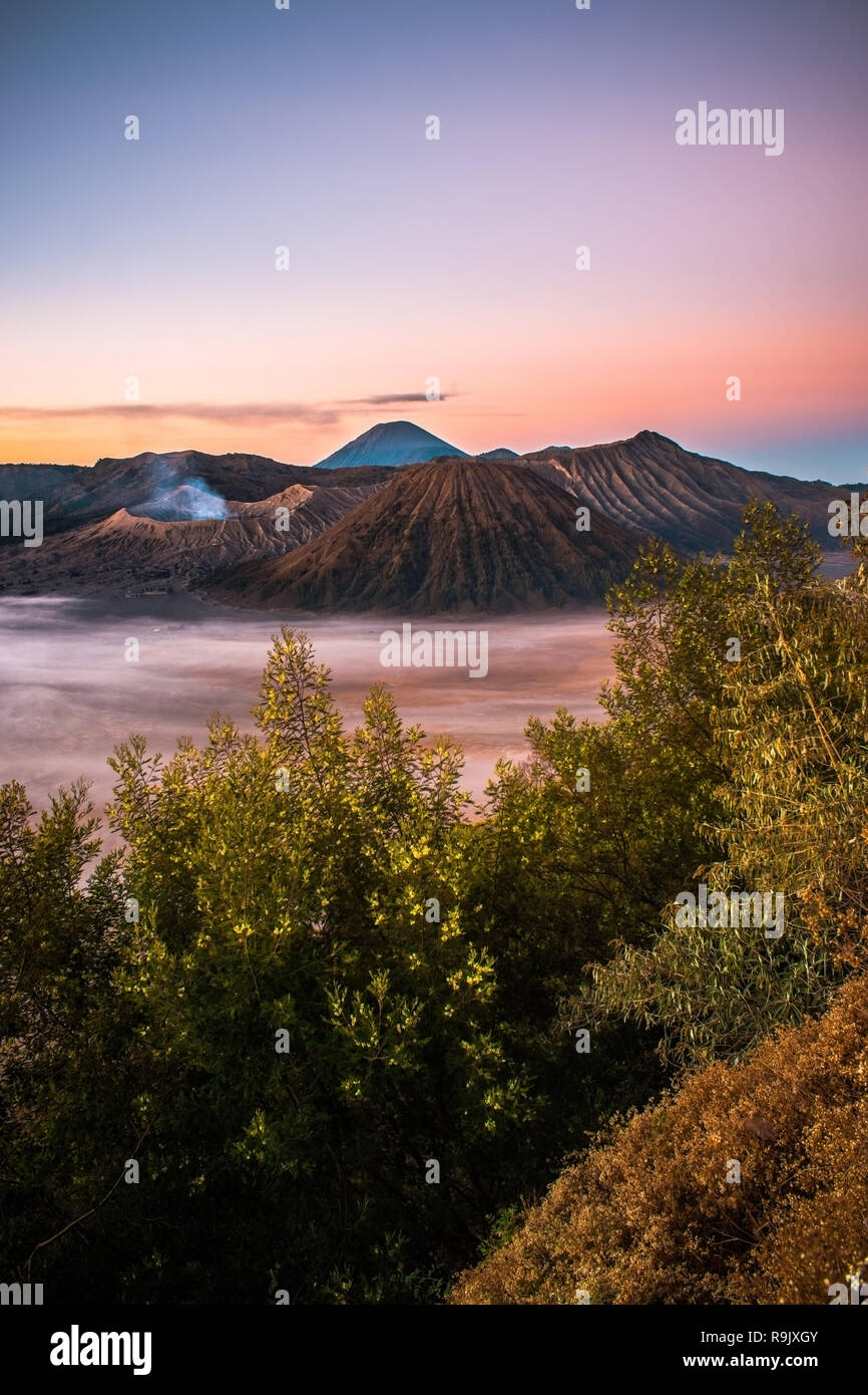 Beautiful java landscape hi-res stock photography and images - Alamy