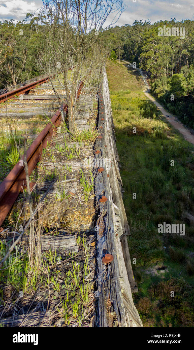view from the Noojee Trestle bridge, Gippsland, Victoria Stock Photo ...