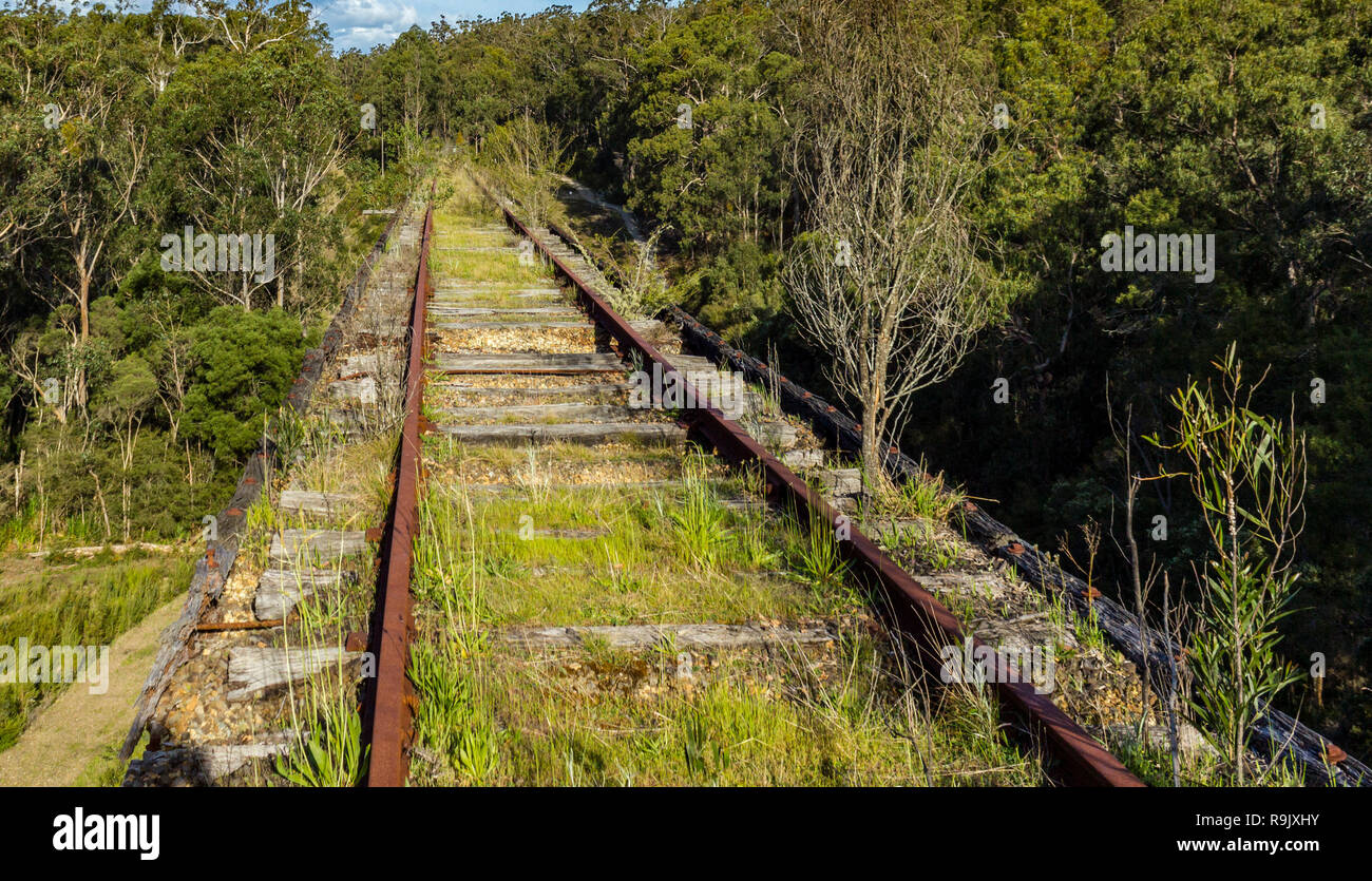 view from the Noojee Trestle bridge, Gippsland, Victoria Stock Photo ...