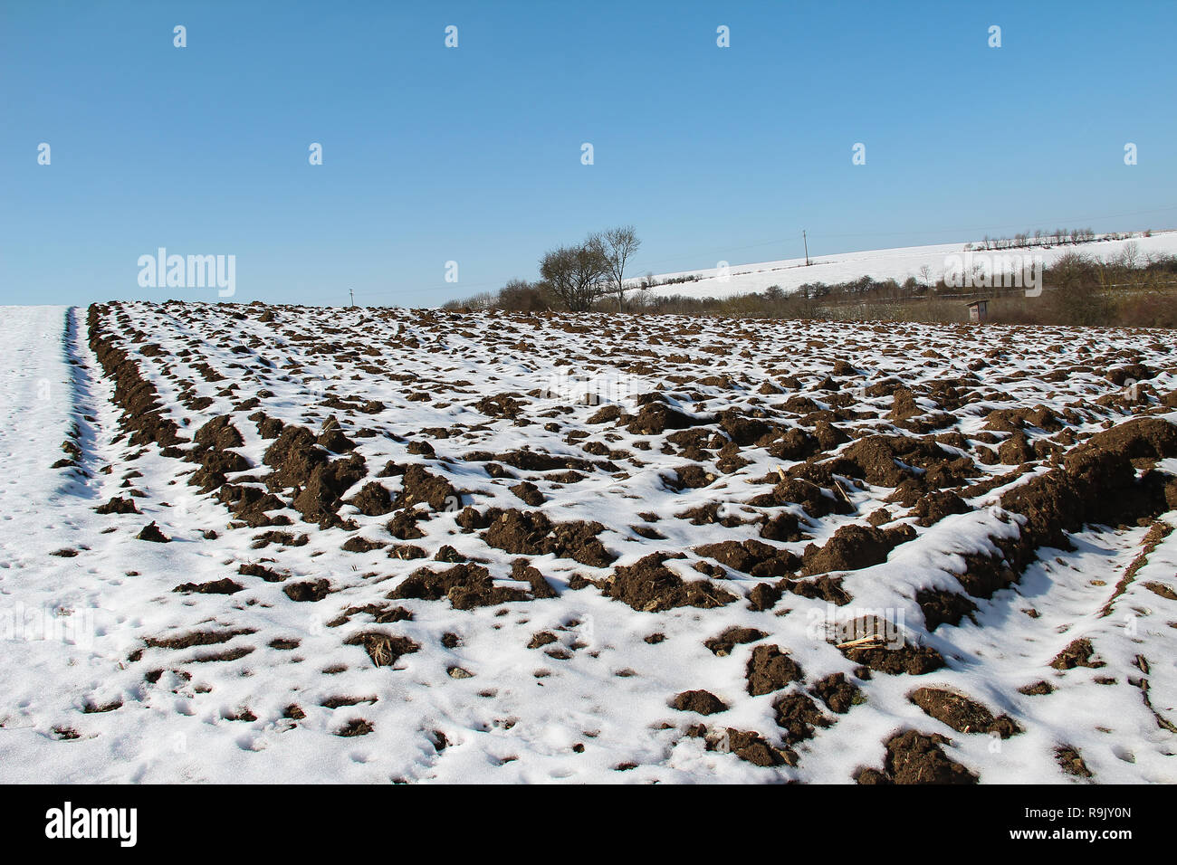 Winter. Snow covered fields frosty winter morning Stock Photo - Alamy