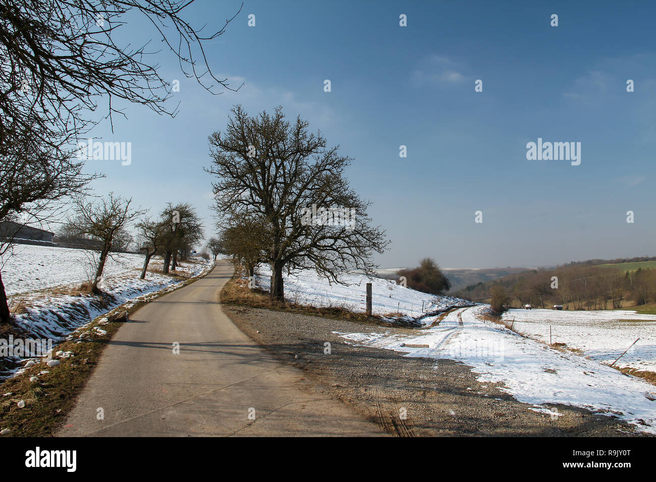 Winter. Snow covered fields frosty winter morning Stock Photo - Alamy