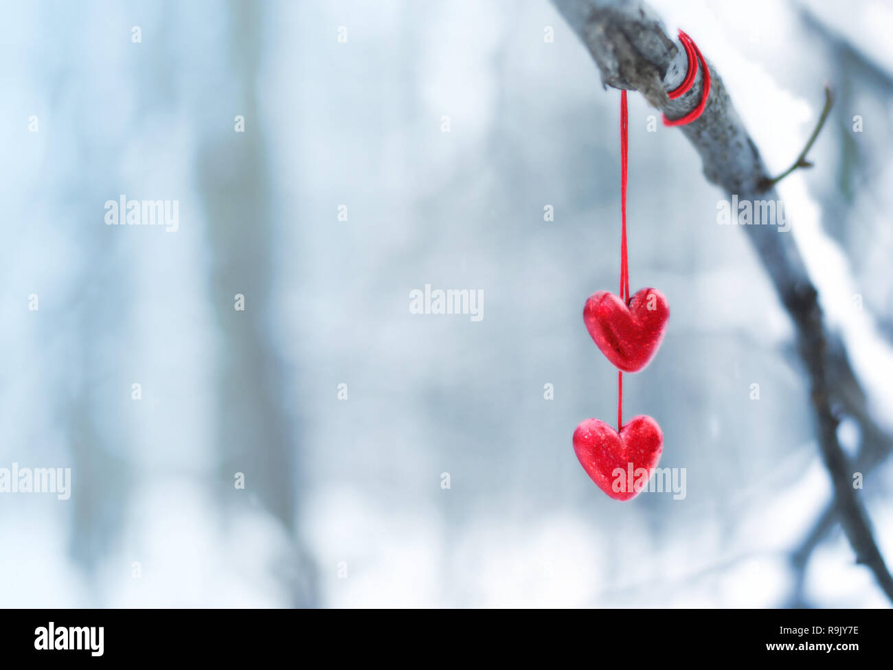 Red hearts on snowy tree branch in winter. Holidays happy valentines ...