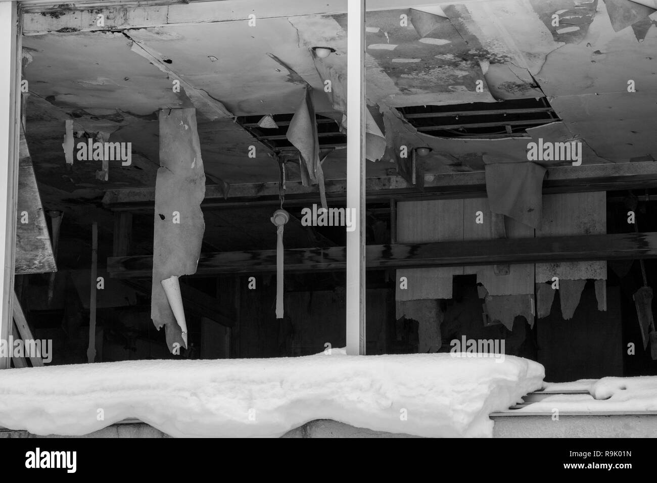 Wallpaper peeling from the roof, seen during winter through a broken ...