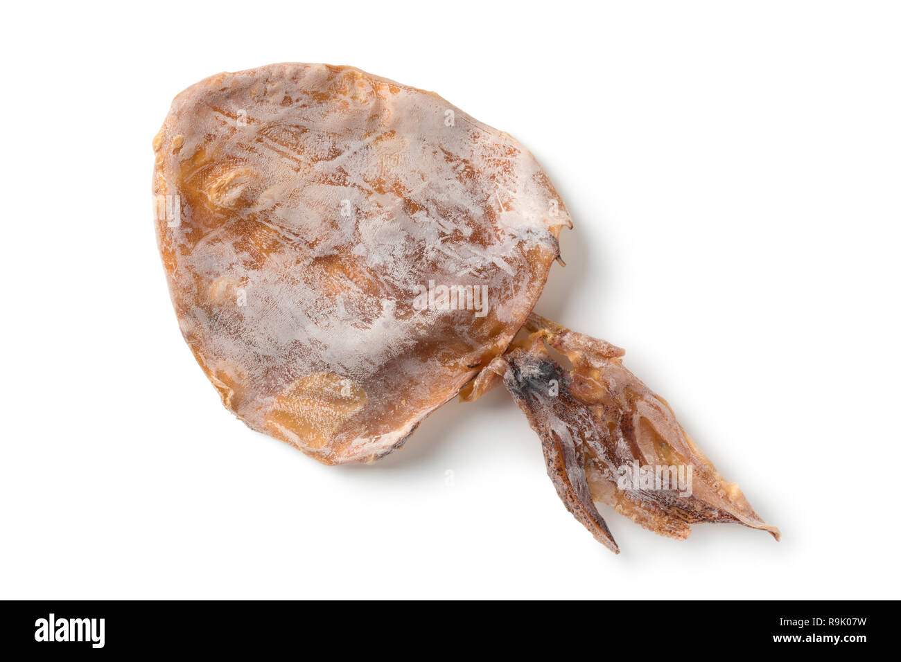 Single Japanese dried and grilled seasoned squid snack isolated on ...