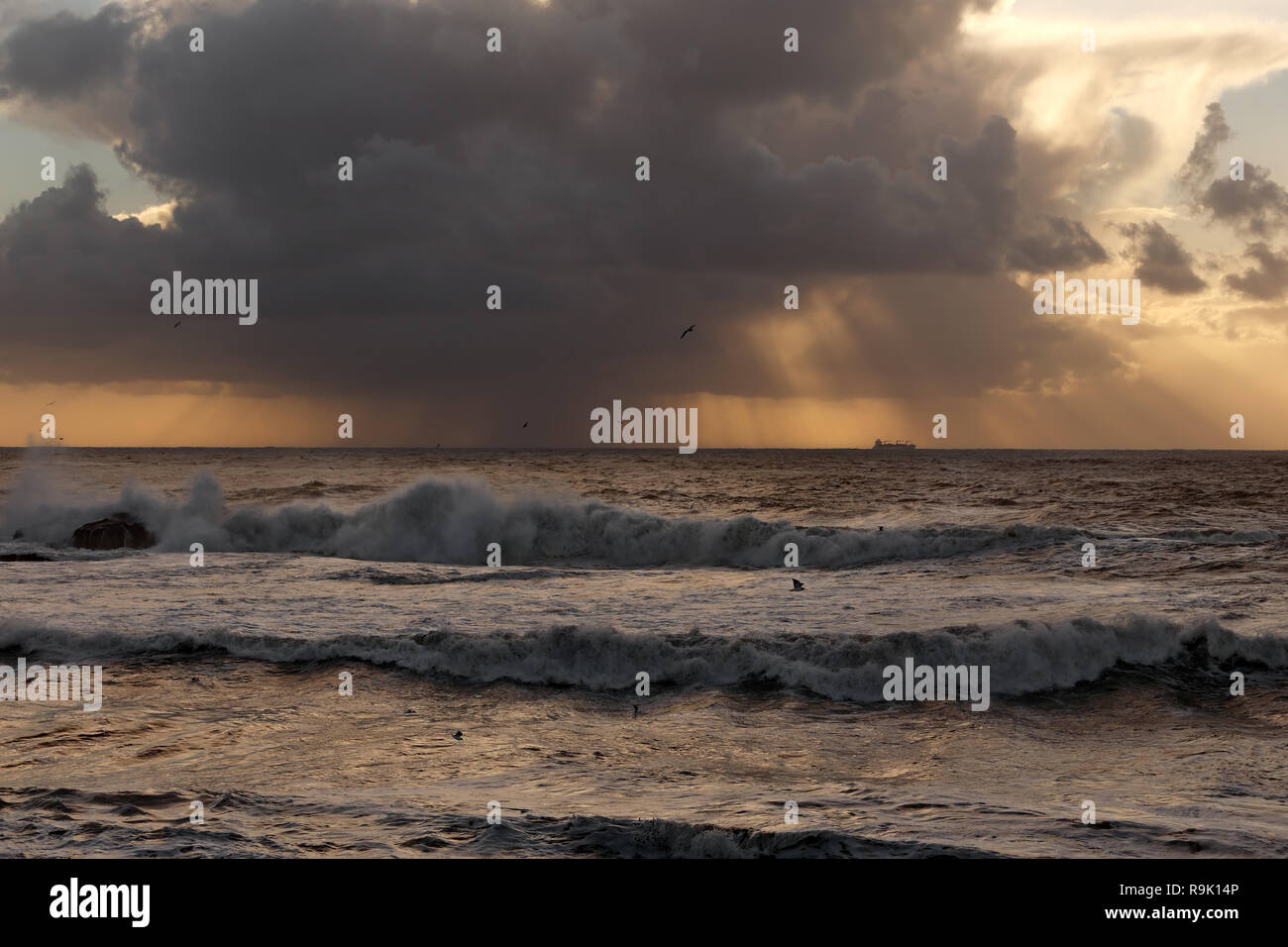Oporto rain hi-res stock photography and images - Alamy