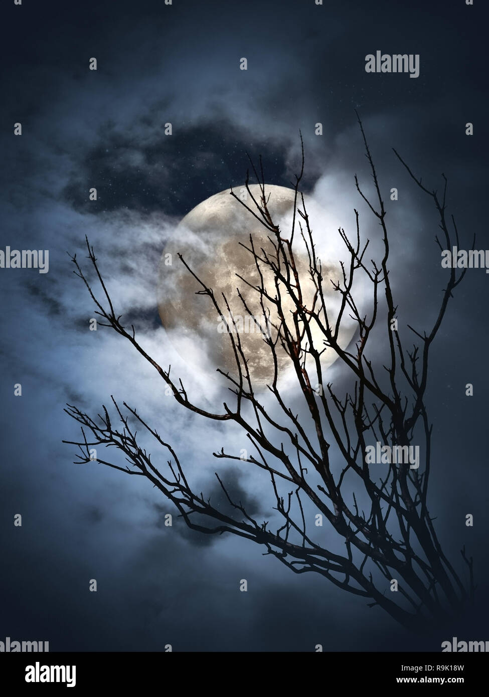 Full moon shining through the clouds and branches Stock Photo - Alamy