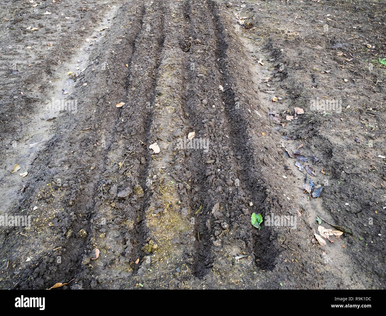 Empty plot land hi-res stock photography and images - Alamy