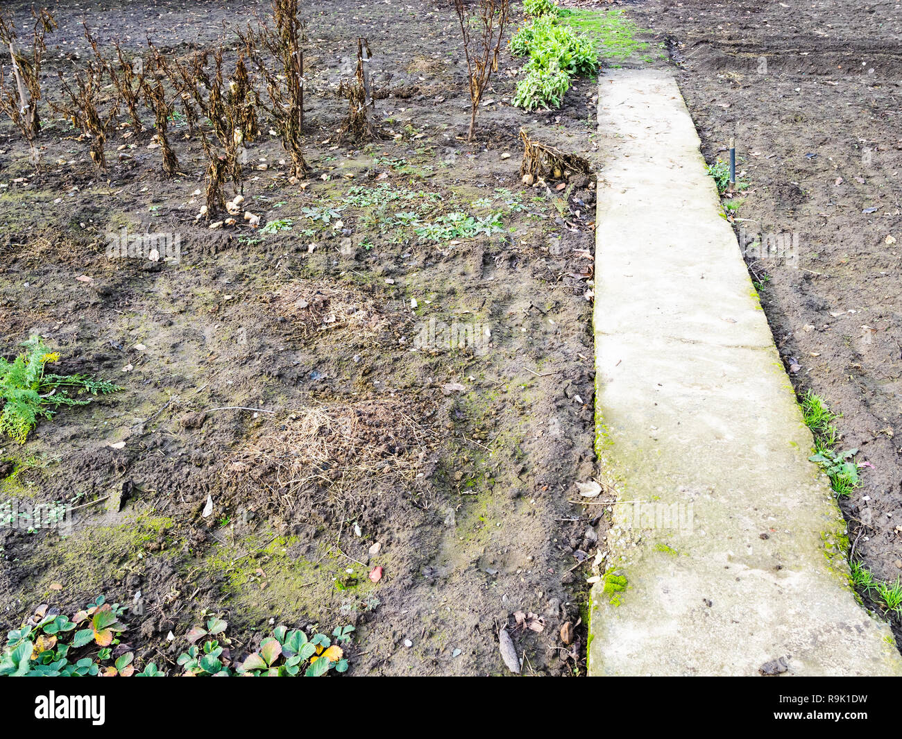 Empty garden hi-res stock photography and images - Alamy