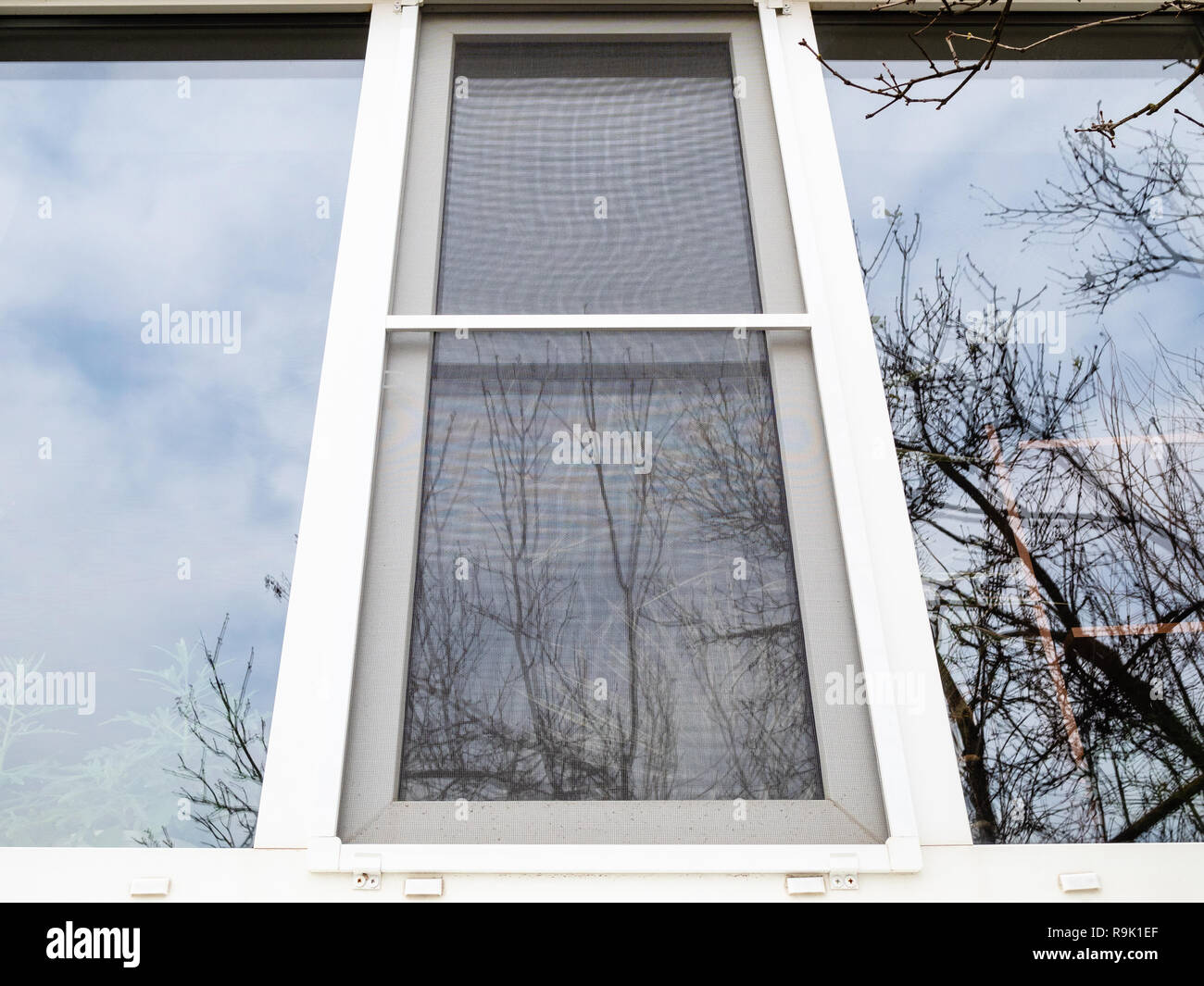 reflection of bare trees and sky in the window of a rural house ...
