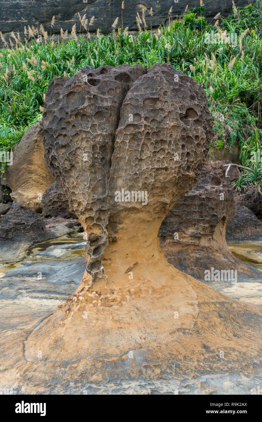 Unique geological formations at Yehliu Geopark in Taiwan on a sunny day ...