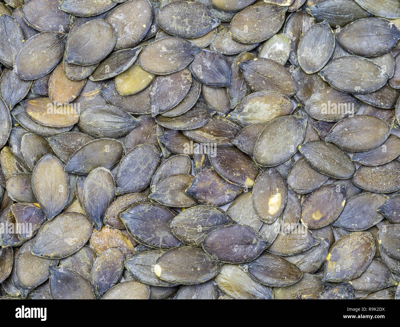 Pumpkin Seed Texture Stock Photo - Alamy