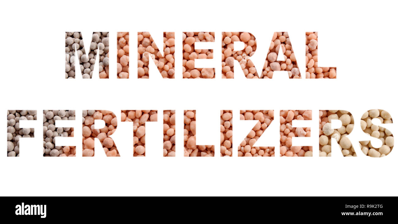 Words "MINERAL FERTILIZERS" made of mineral fertilizers background ...