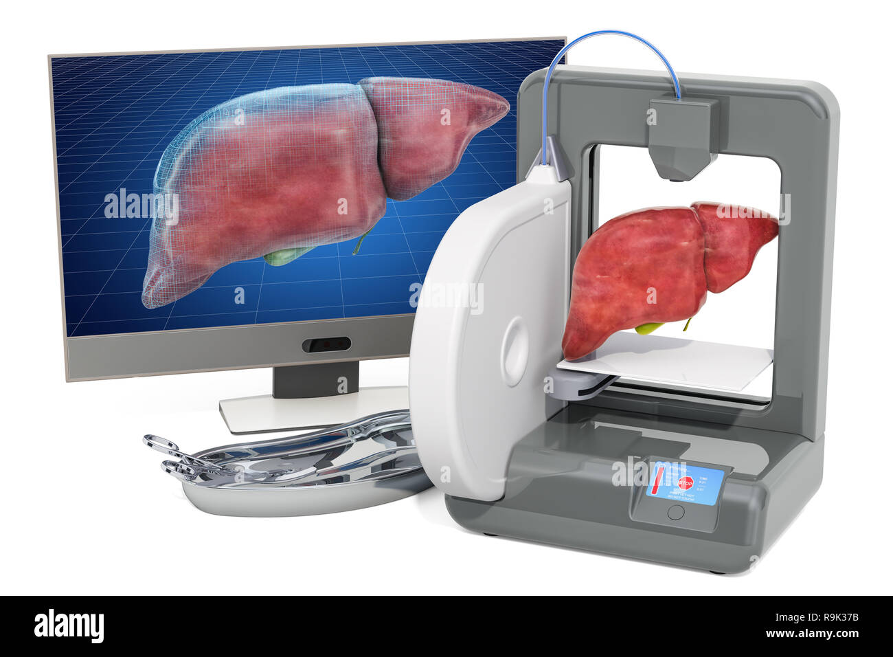 3d Printed Liver