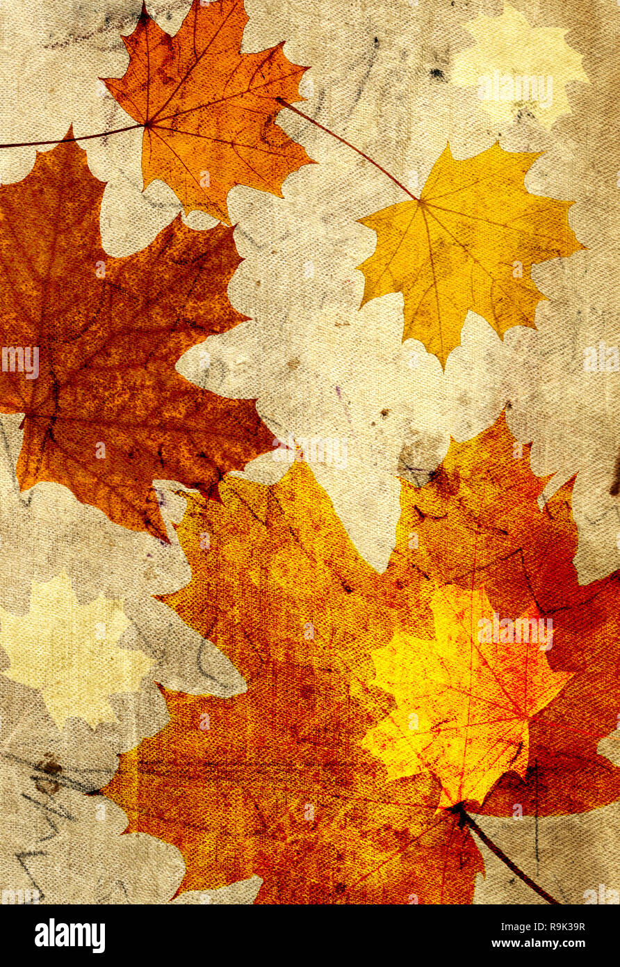 Grunge background with autumn maple leaves Stock Photo - Alamy