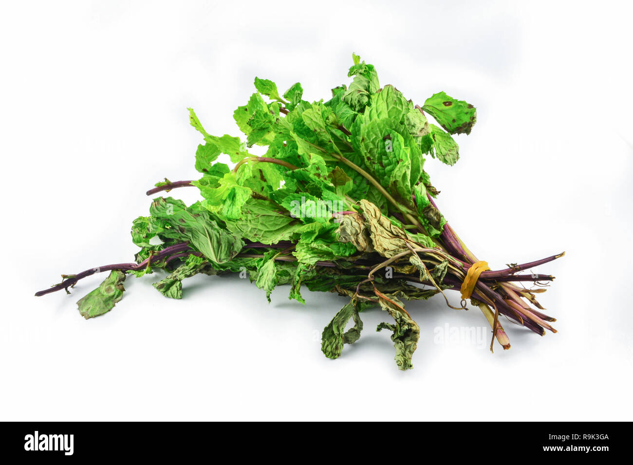 Vegetable withered isolated on white background - Peppermint wilt dried ...
