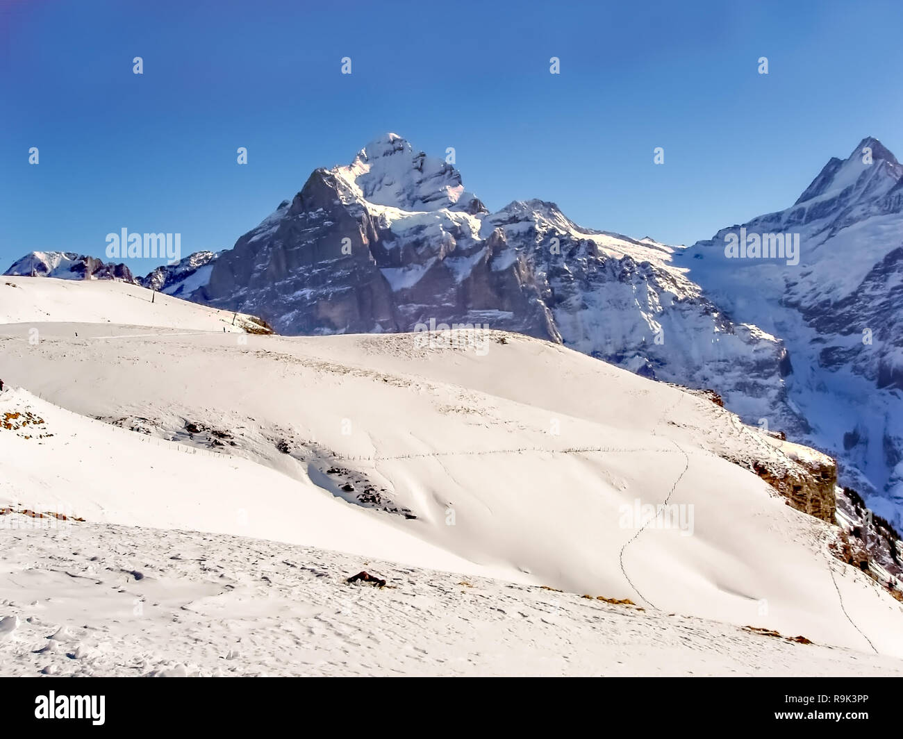 Faulhorn hi-res stock photography and images - Alamy