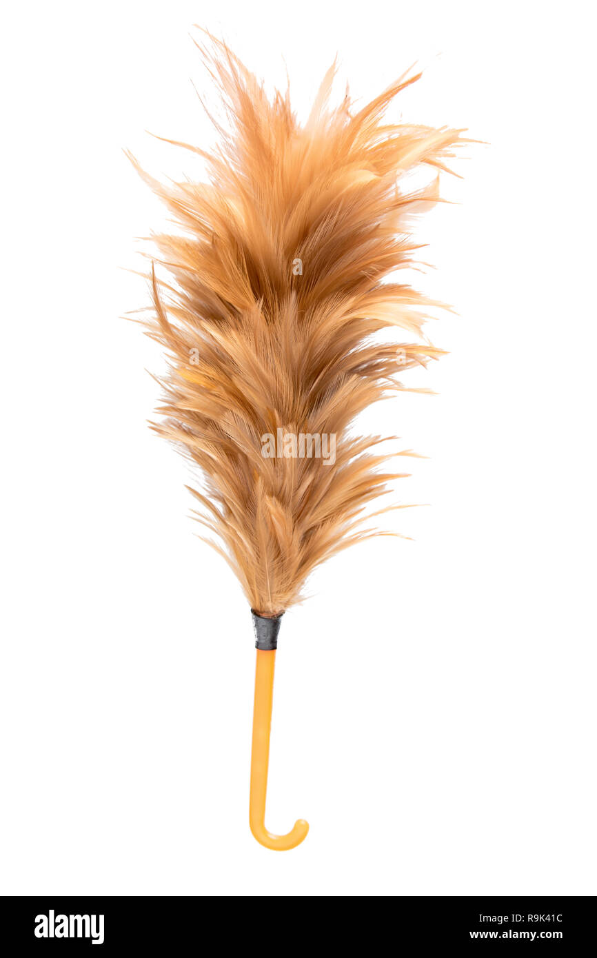 Feather duster isolated on white background Stock Photo - Alamy
