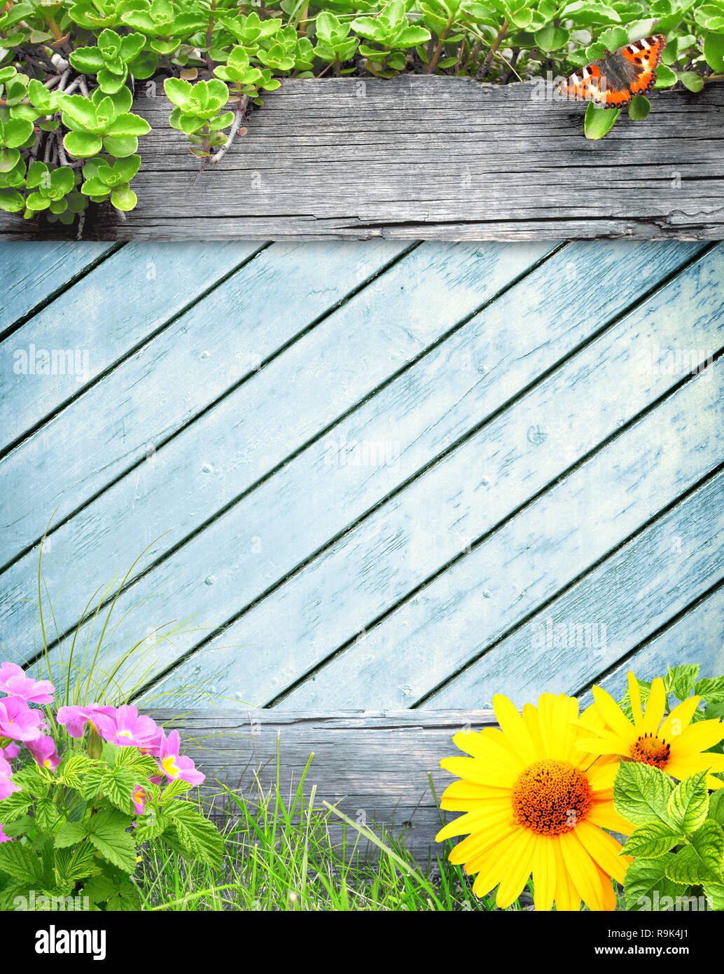 Summer background with old wooden plank, grass and green leaves Stock ...