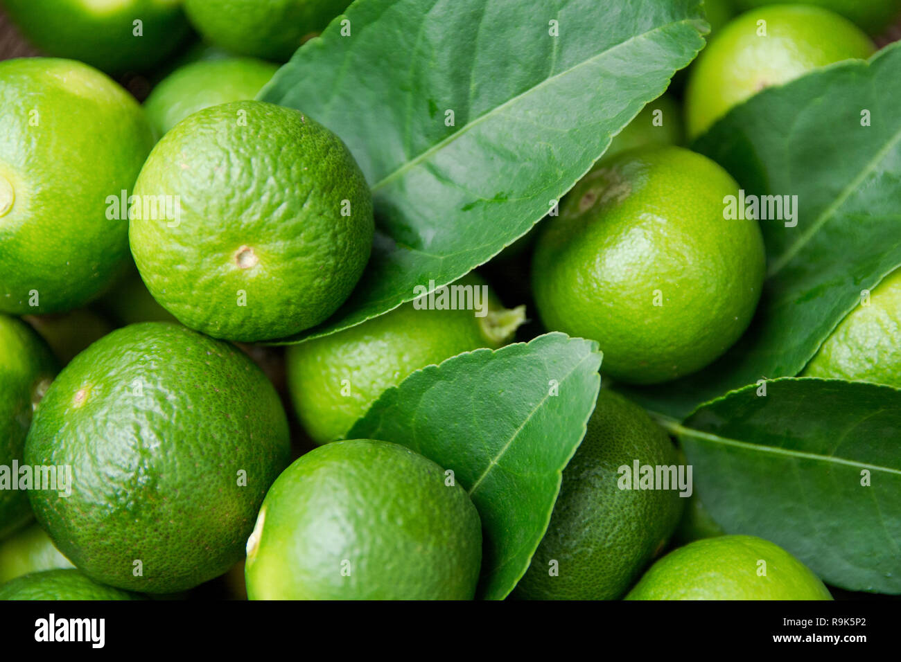 Lime Citrus Fruits background. Fresh juicy limes. Healthy food Stock ...