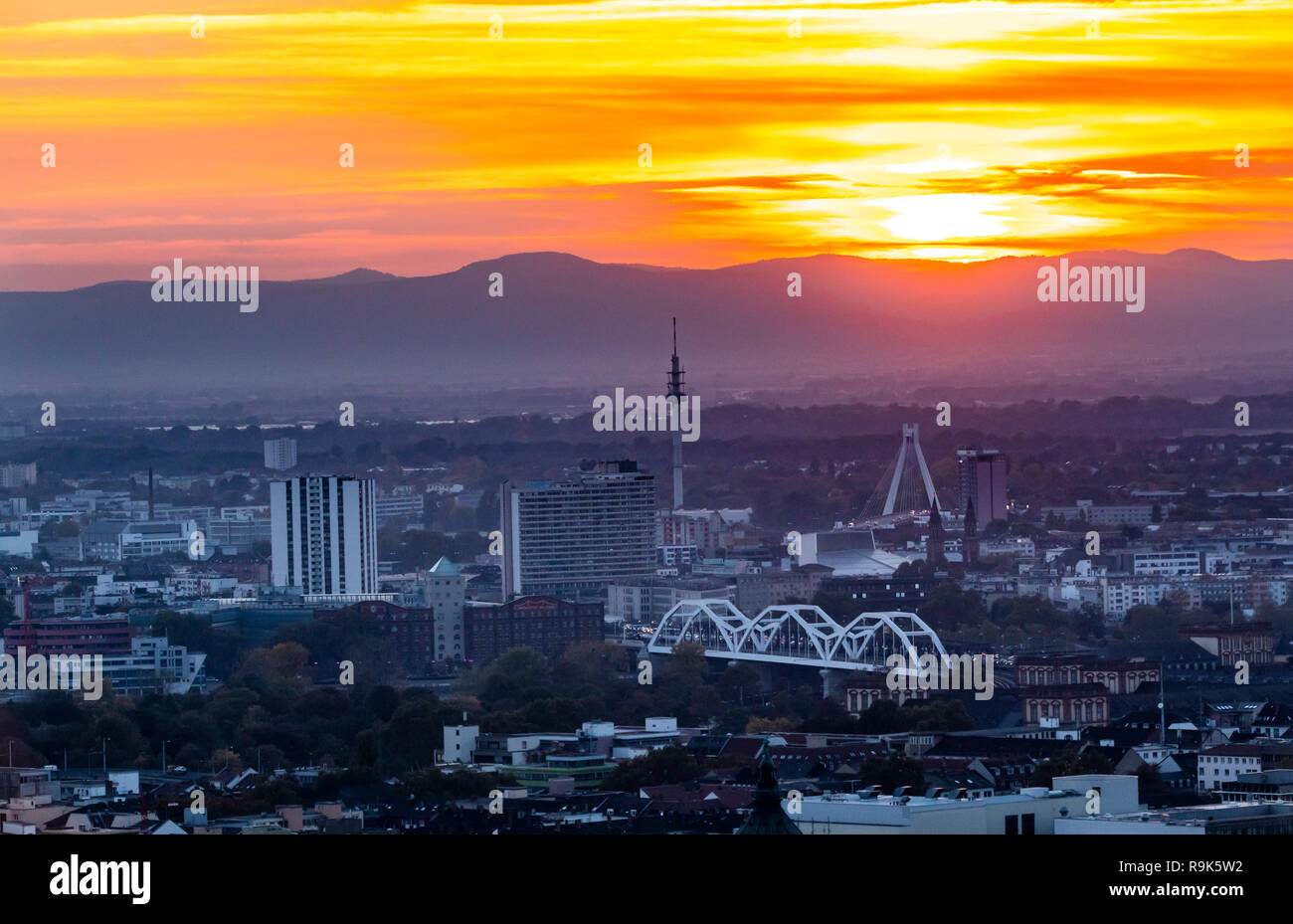 View of downtown Mannheim and Ludwigshafen, in the back, from the ...