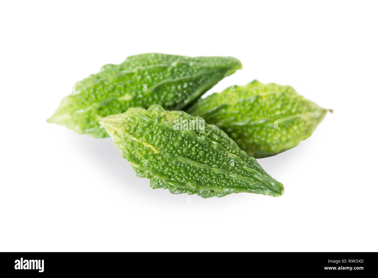 Bitter gourd isolated on white background with clipping path Stock ...