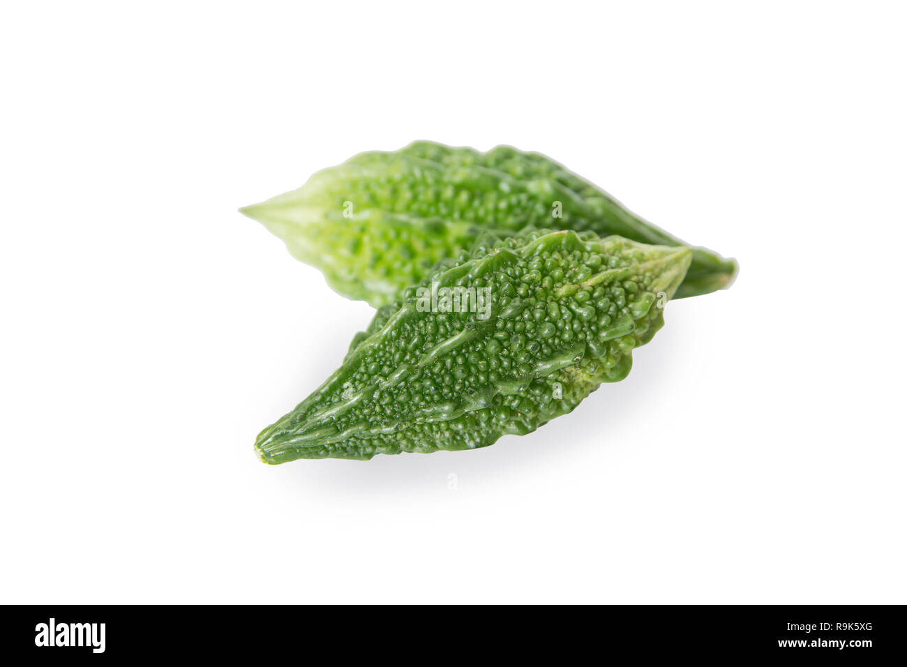 Bitter gourd isolated on white background with clipping path Stock ...