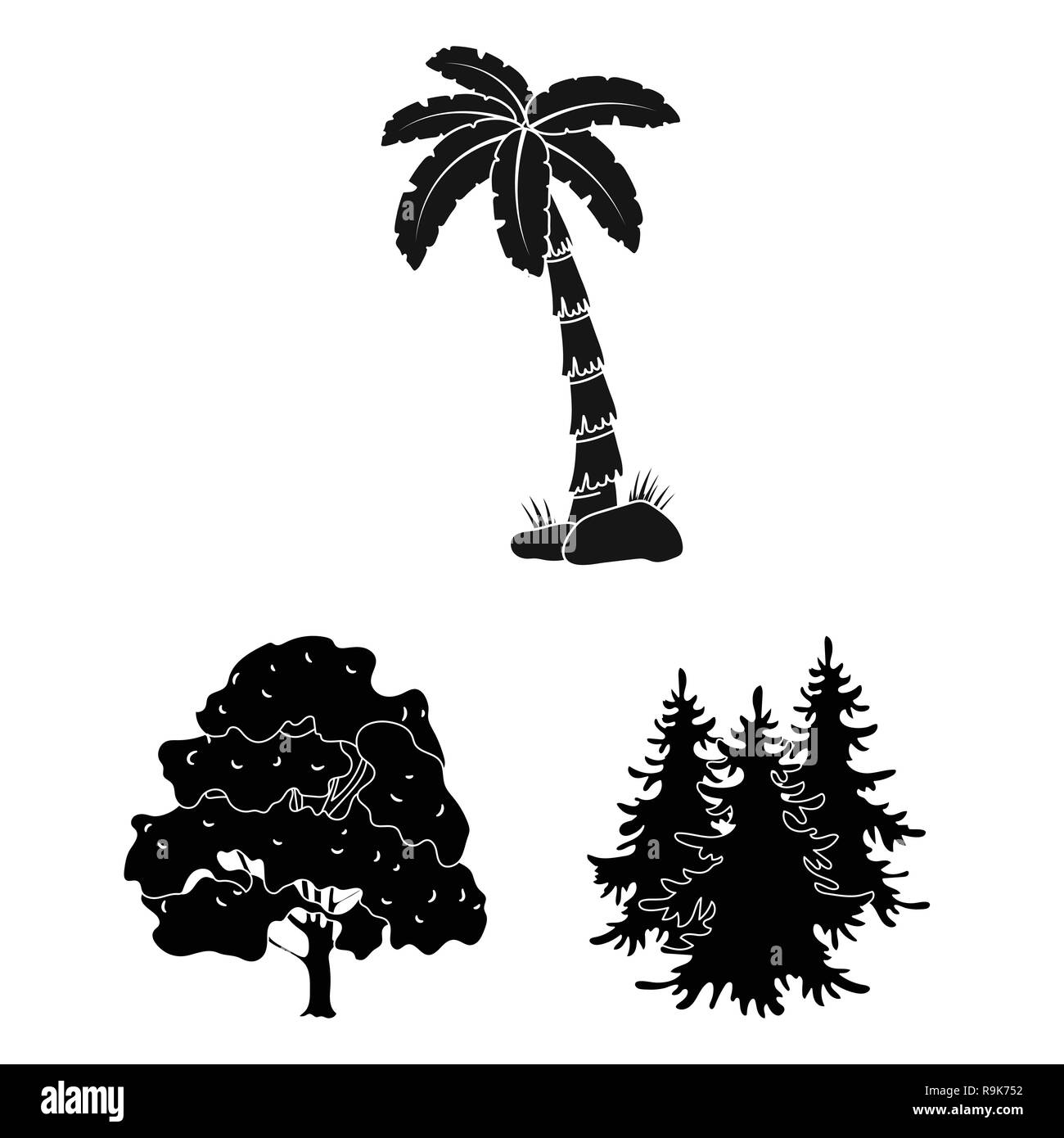 California black oak tree Stock Vector Images - Alamy