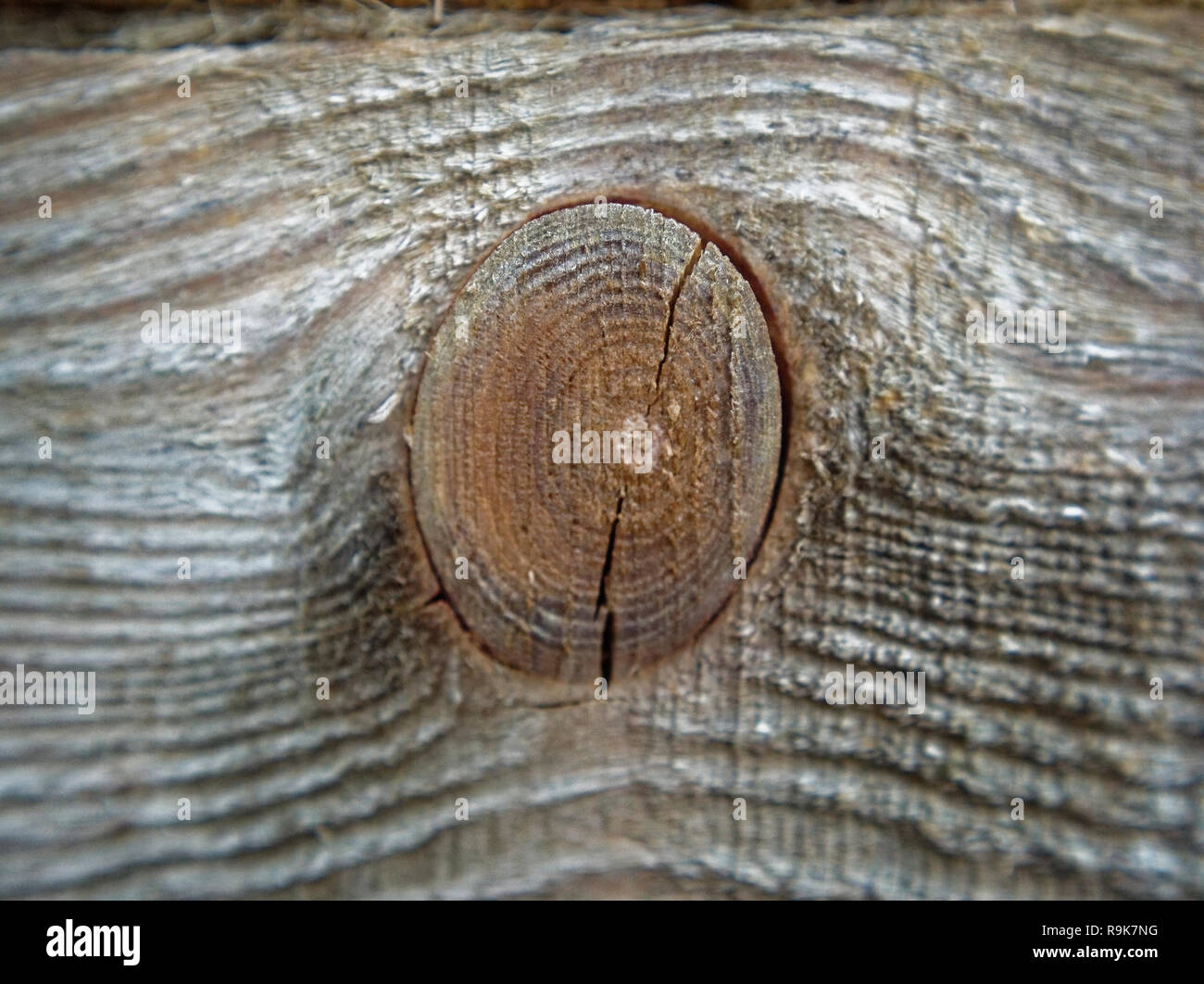 Cut timber texture hi-res stock photography and images - Alamy