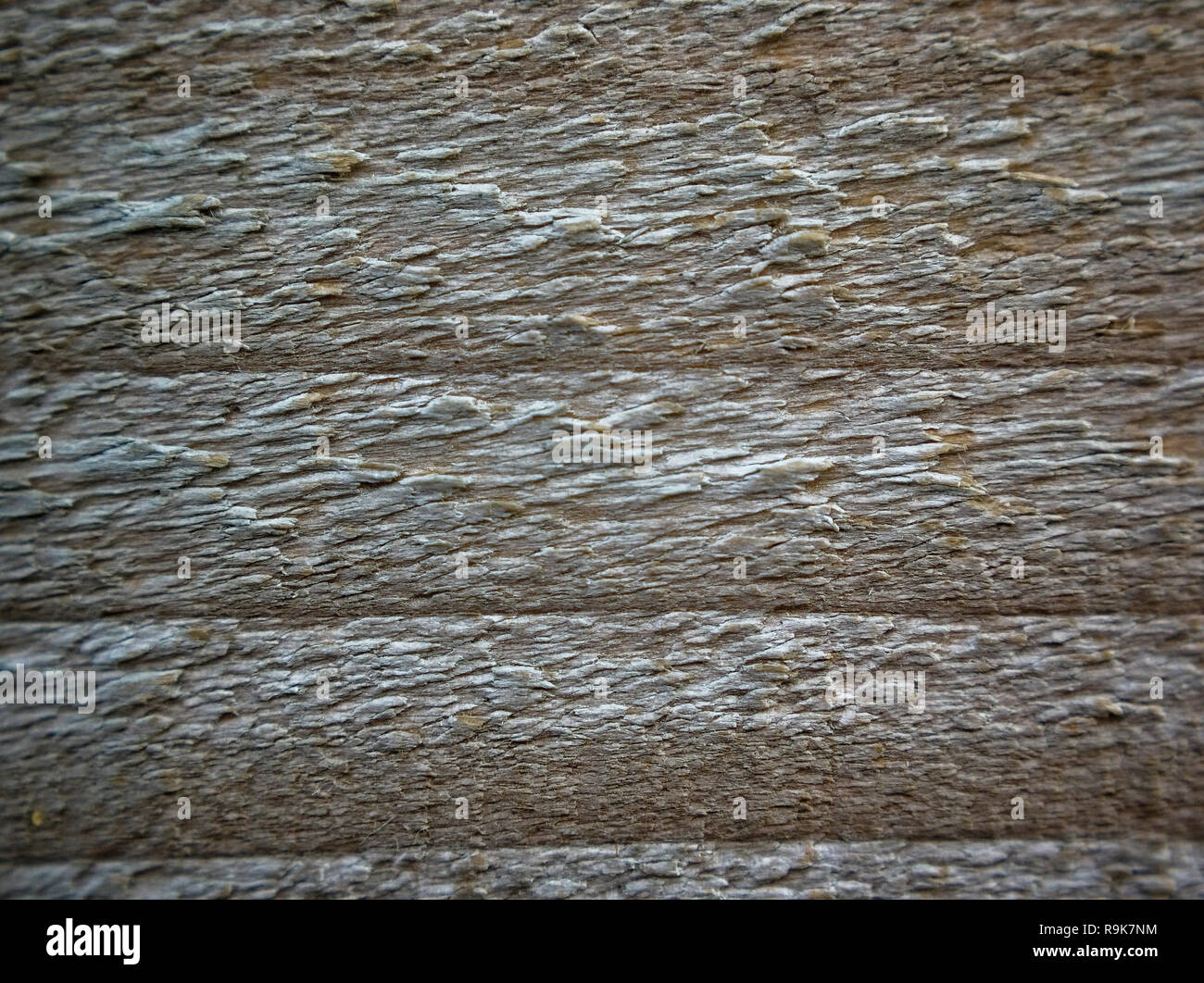 Cut timber texture hi-res stock photography and images - Alamy