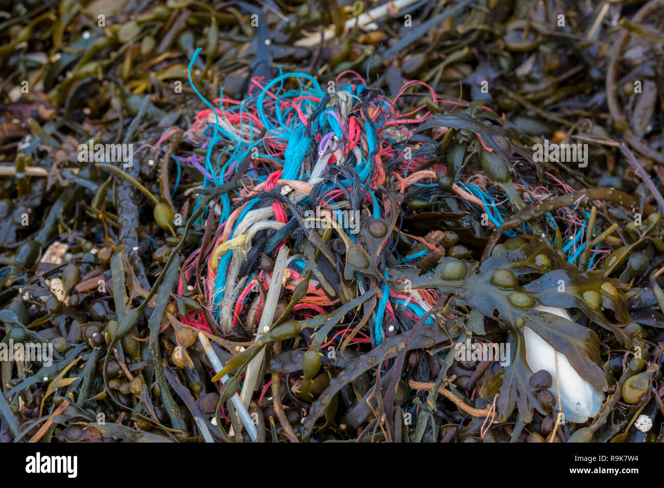 tangled and knotted plastic and nylon fishing lines and string wires ...