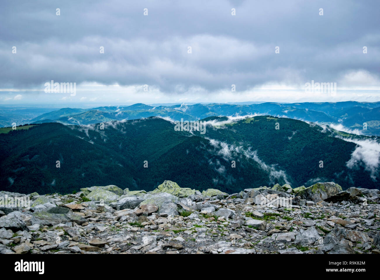 Carpathian mountains