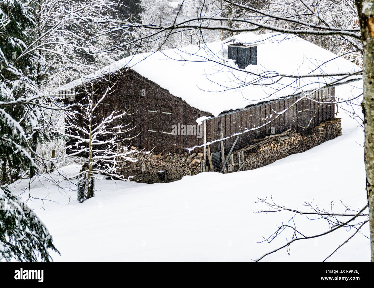 Lost old lonely cottage covered with snow in the forest of the German ...